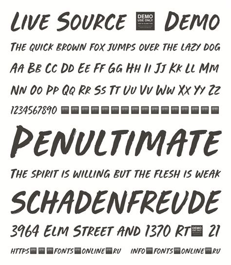 Live Source Demo Font