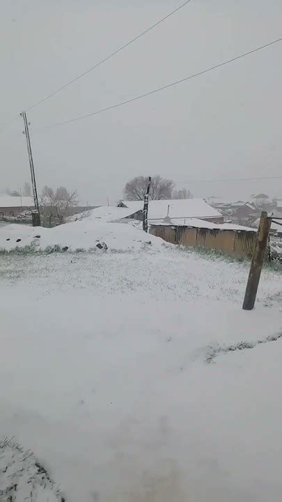 Արագածոտնի մարզի Ճարճակիս գյուղում տեղում է ձյուն։ Shorts Snow Armenia Weather Youtube