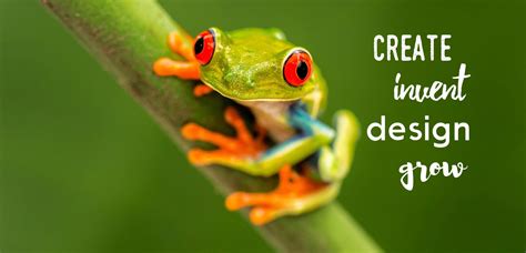 Branding Illustration Multimedia Web Design Mad Frog Design