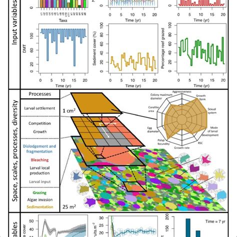 Description Of The Agent Based Model Six Different Variables As Model Download Scientific