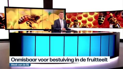 Valerie Verschatse Posted On Linkedin