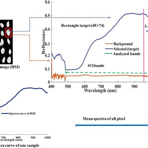 Flowchart Of Image Segmentation And Spectra Acquisition Of One Sample Download Scientific Diagram