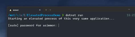 Programmatically Elevate A Net Application On Any Platform