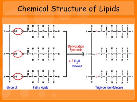 Structure Chemistry