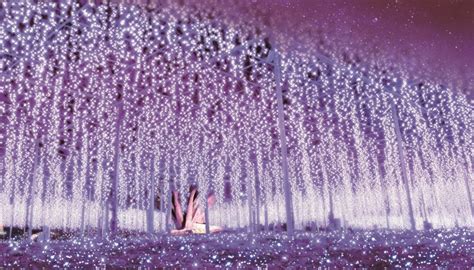 Ashikaga Flower Park In Tochigi Flower Fantasy The Garden Of The