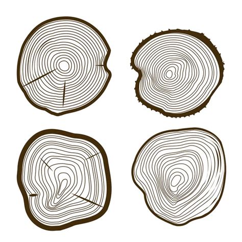 100 000 Tree Ring Vector Images Depositphotos
