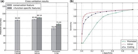 The Bar Plot On The Left Shows The 10 Fold Cross Validation Accuracies Download Scientific