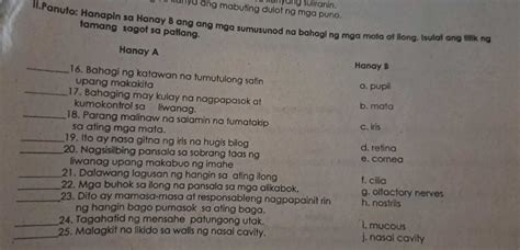 II Panuto Hanapin sa Hanay B ang ang mga sumusunod na bahagi ng mga mata at ilong Isulat ang ...