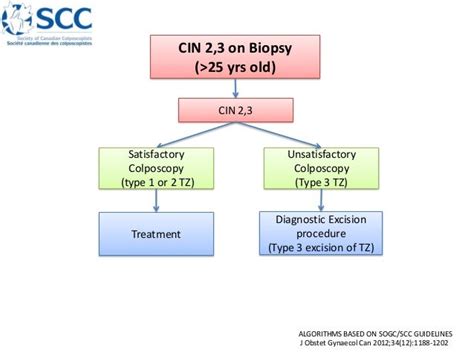 Cin 2 Treatment Options Squamous Intraepithelial Lesion Sil Causes