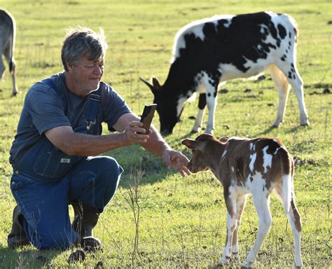 Amanda Weldon Art This Gem Is Back In The Game And Available Now