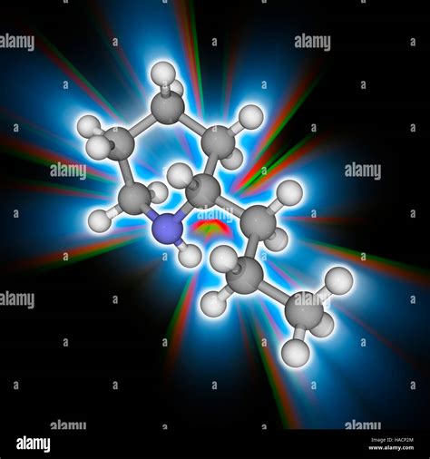 Coniine Molecular Model Of The Neurotoxin Coniine C8 H17 N Found In