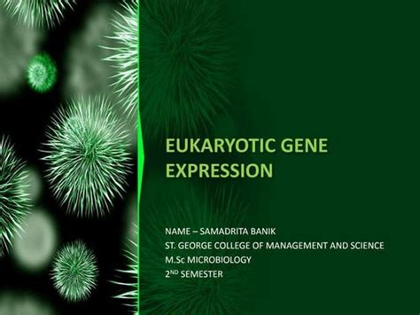 Eukaryotic Gene Expression Pptx