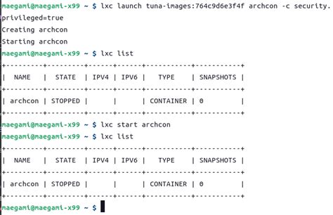 Lxc Start Containername Without Any Error But The Container Keeps Stopped LXD Linux