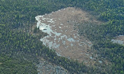 Worlds Largest Beaver Dam Wood Buffalo National Park