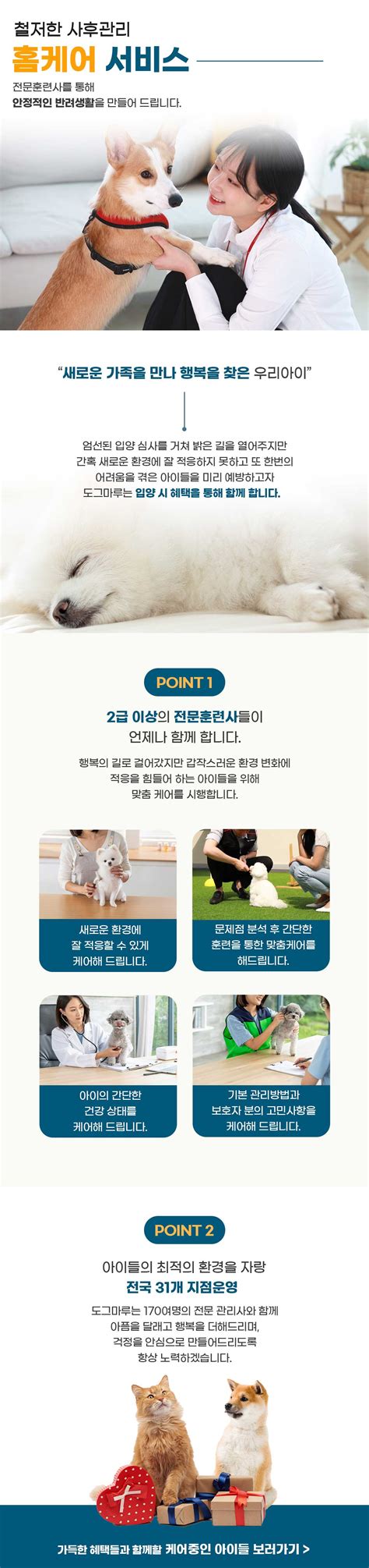 강아지입양 고양이입양 도그마루 입양케어센터 유기견입양 유기견분양 유기묘분양 강아지파양 고양이파양 유기묘입양 유기견센터 고양이분양 전남강아지무료분양 전북강아지무료분양 말티푸 말티