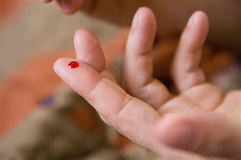 Do You Know The Amount Of Blood In Human Body New Health Advisor