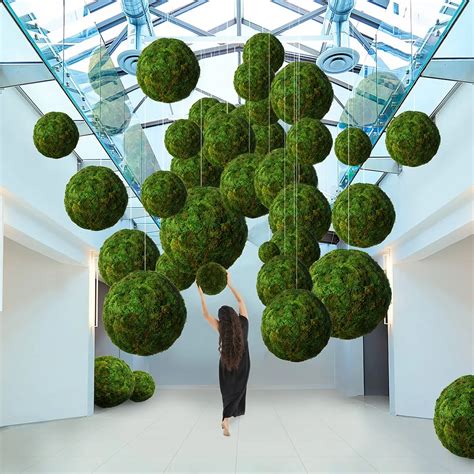 Plant The Future As You Look Up At Our Preserved Moss You Are
