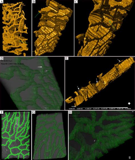 Life An Open Access Journal From Mdpi
