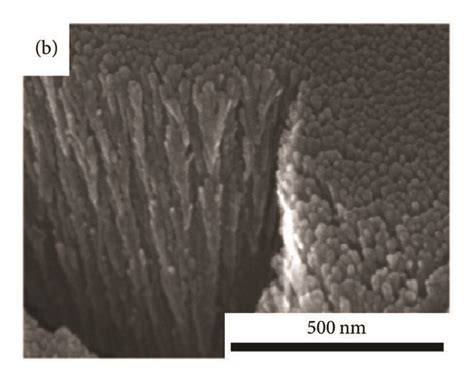 Recent Development Of 2d Silicon Thin Films A The Silicon Thin Film