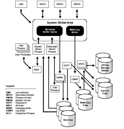 Introduction To The Oracle Server