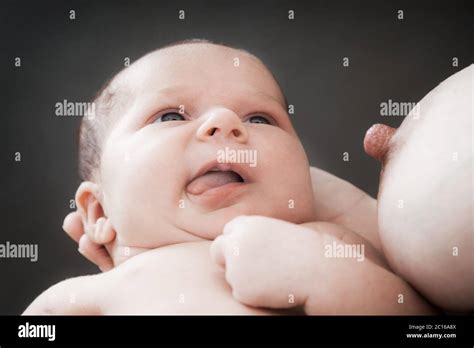 Baby Feeds On Mother S Breasts Milk Stock Photo Alamy