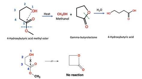Anafam One Reason Why Rna Viruses Like Covid Mutate So Quickly A