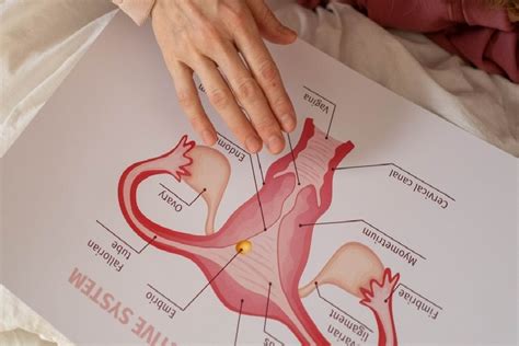 East Central Reporter