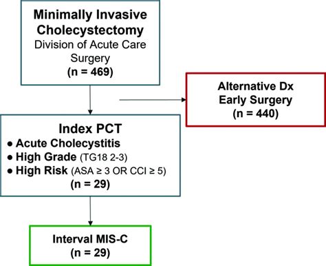A Management Algorithm For High Grade Acute Cholecystitis In High Risk