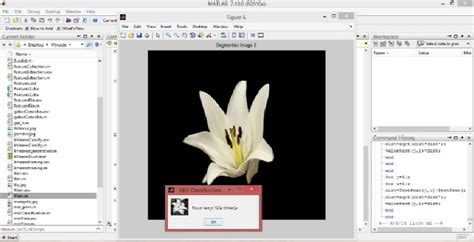 Figure 1 From Classification Of Flower Images Using Clustering Algorithms Semantic Scholar
