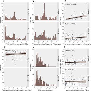 FLT3ITD Variant Allele Frequency And Length In Patients With Multiple Download Scientific