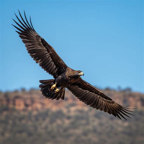 Ether Spiritual Meaning Unveiling The Mystical Element Of Connection Wisdom Of The Spirit