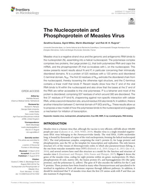 Pdf The Nucleoprotein And Phosphoprotein Of Measles Virus