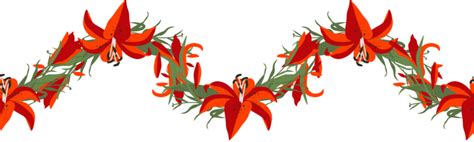 Lily Border Pngs For Free Download