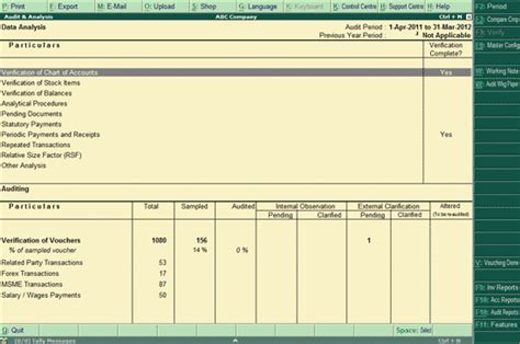 Statutory Audit Dashboard