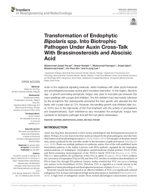 Pdf Transformation Of Endophytic Bipolaris Spp Into Biotrophic