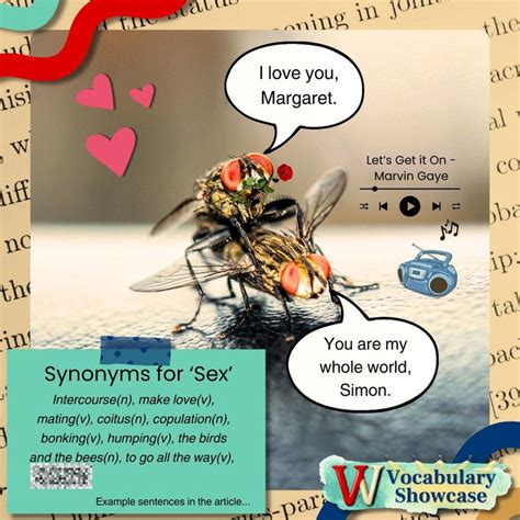 Synonyms For Sex Vocabulary Showcase — Wright English Synonyms For Sex Vocabulary Showcase — Wright English