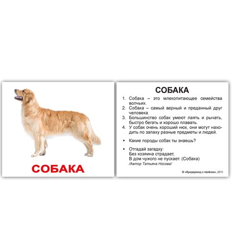 Описание карточки