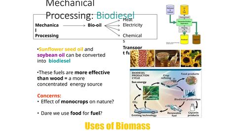 An Intorduction To Biomass And Its Environmental Benefits Pptx