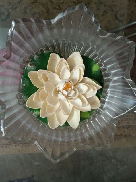 Flower Lotus National Flower Of India Stock Photo Image Of Signifies