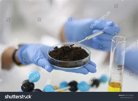 49 Properties Of Soil Experiment Images Stock Photos Vectors Shutterstock
