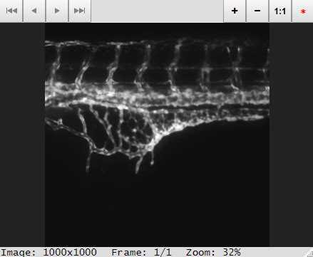 How Can I Measure The Distance Of Two Features Within An Image In R Stack Overflow