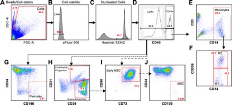 Gating Strategy For The Analysis Of SVFs Cell Population By Flow Download Scientific Diagram