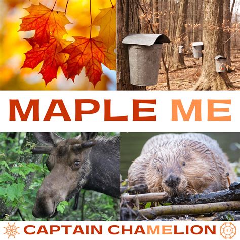 Maple Me