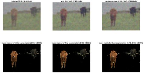 Reconstruction And Segmentation Of Example 82 From A Single Run Of The Download Scientific