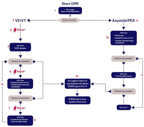 ACLS Stroke Algorithm Suspected Stroke Protocol Treatment