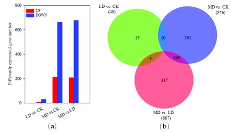 Identification And Characterization Of Differentially Expressed Genes
