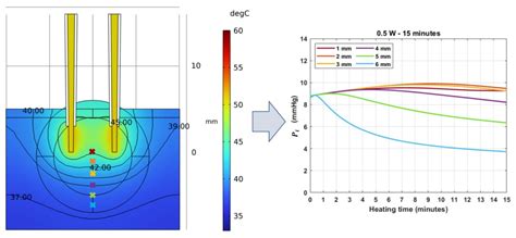 A Computational Modeling Approach To Investigate The Influence Of Hyperthermia On The Tumor