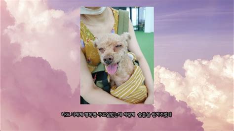 아롱이영상 Youtube