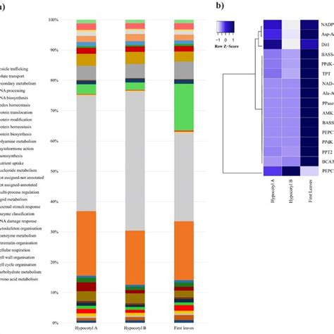 A Active Functional Classes Of Each Sample According To All Percentages