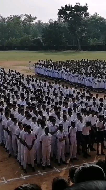 ඈත ඉදල දැකපු හැබෑ වෙන්නෙ නෑ කියල හිතාපු නිදා නොගෙන දැකපු හීන 🥺 Youtube